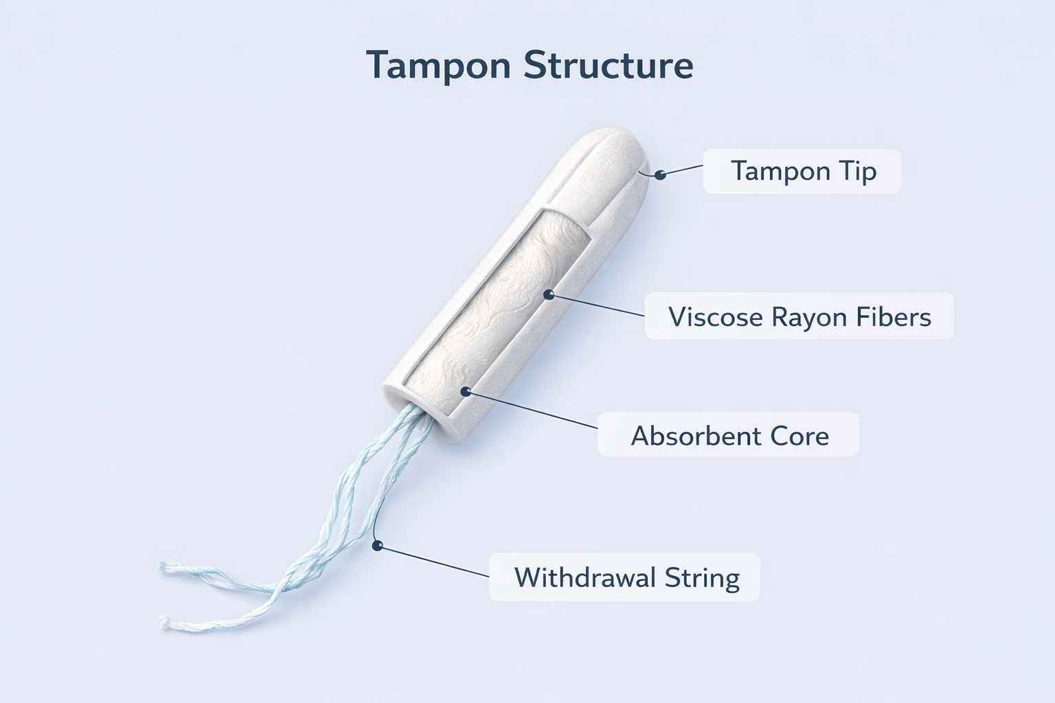 Tampon Structure Explained: Parts of a Tampon